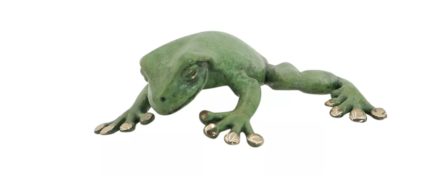 bronze tree frog icon Australia animal hand Australia made