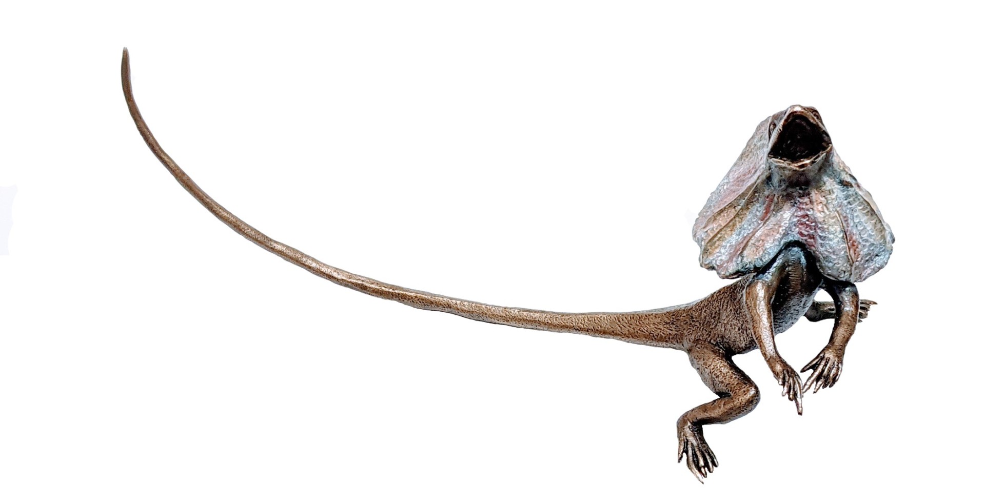 bronze frilled necked lizard Australia animal long tail fast