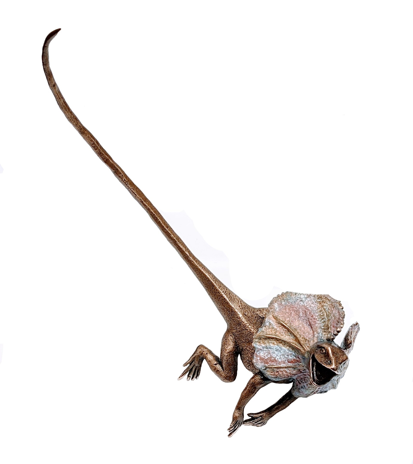 bronze frilled necked lizard Australia animal long tail fast