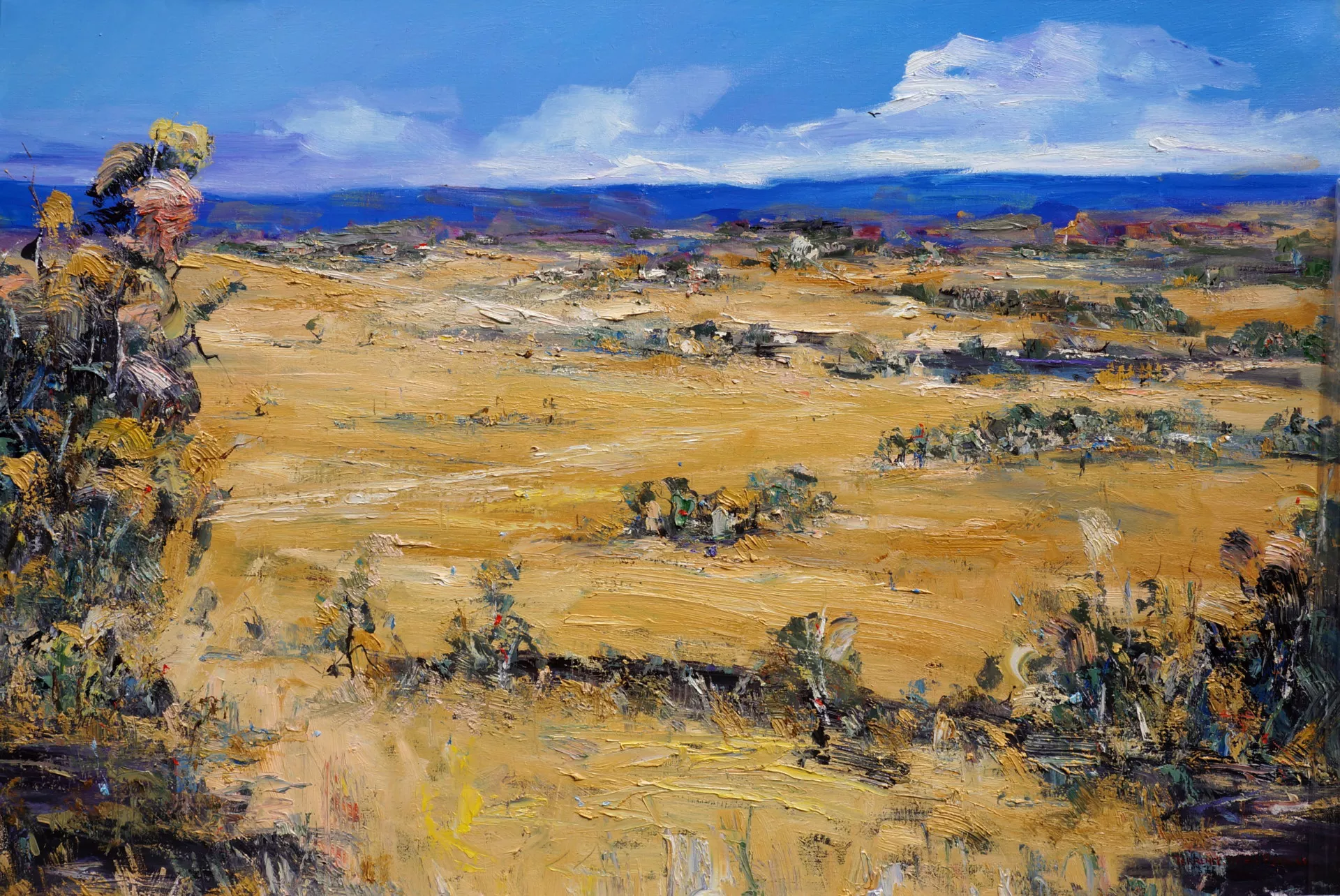 Original Australian paintings by artist Terrence John Hadler