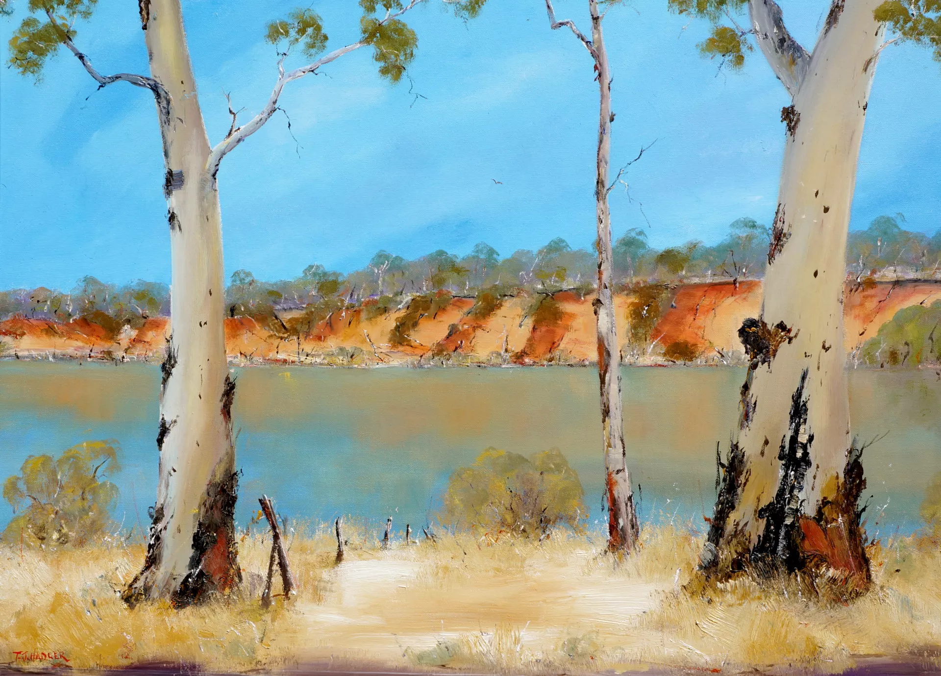 Original Australian paintings by artist Terrence John Hadler