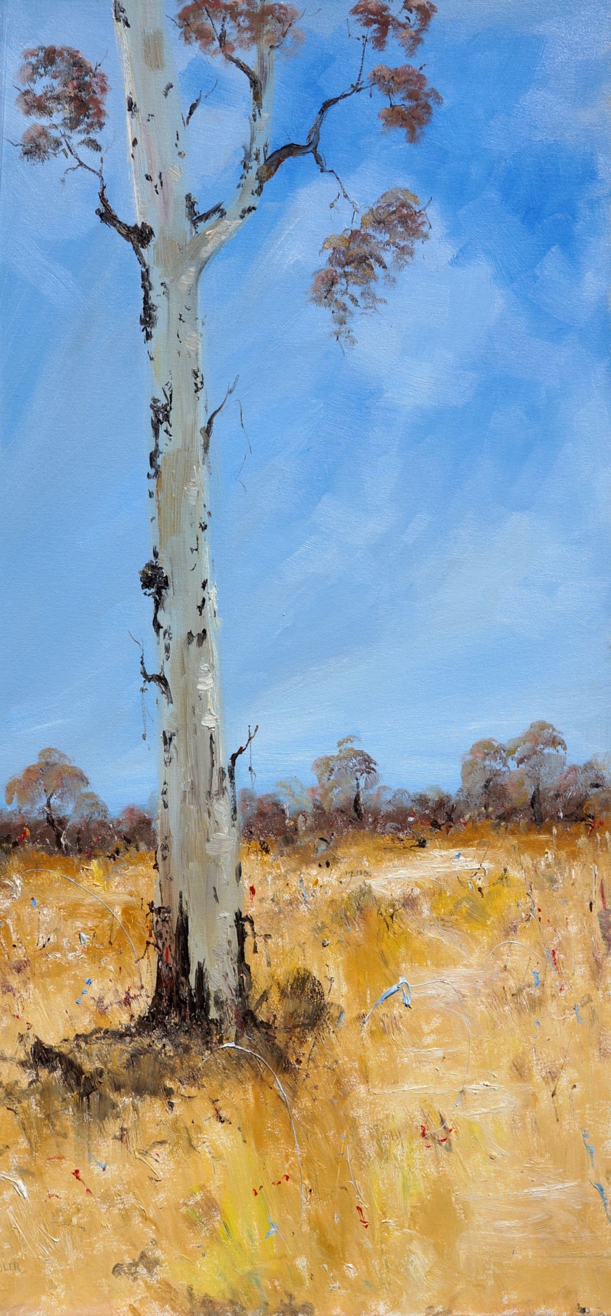 Original Australian paintings by artist Terrence John Hadler