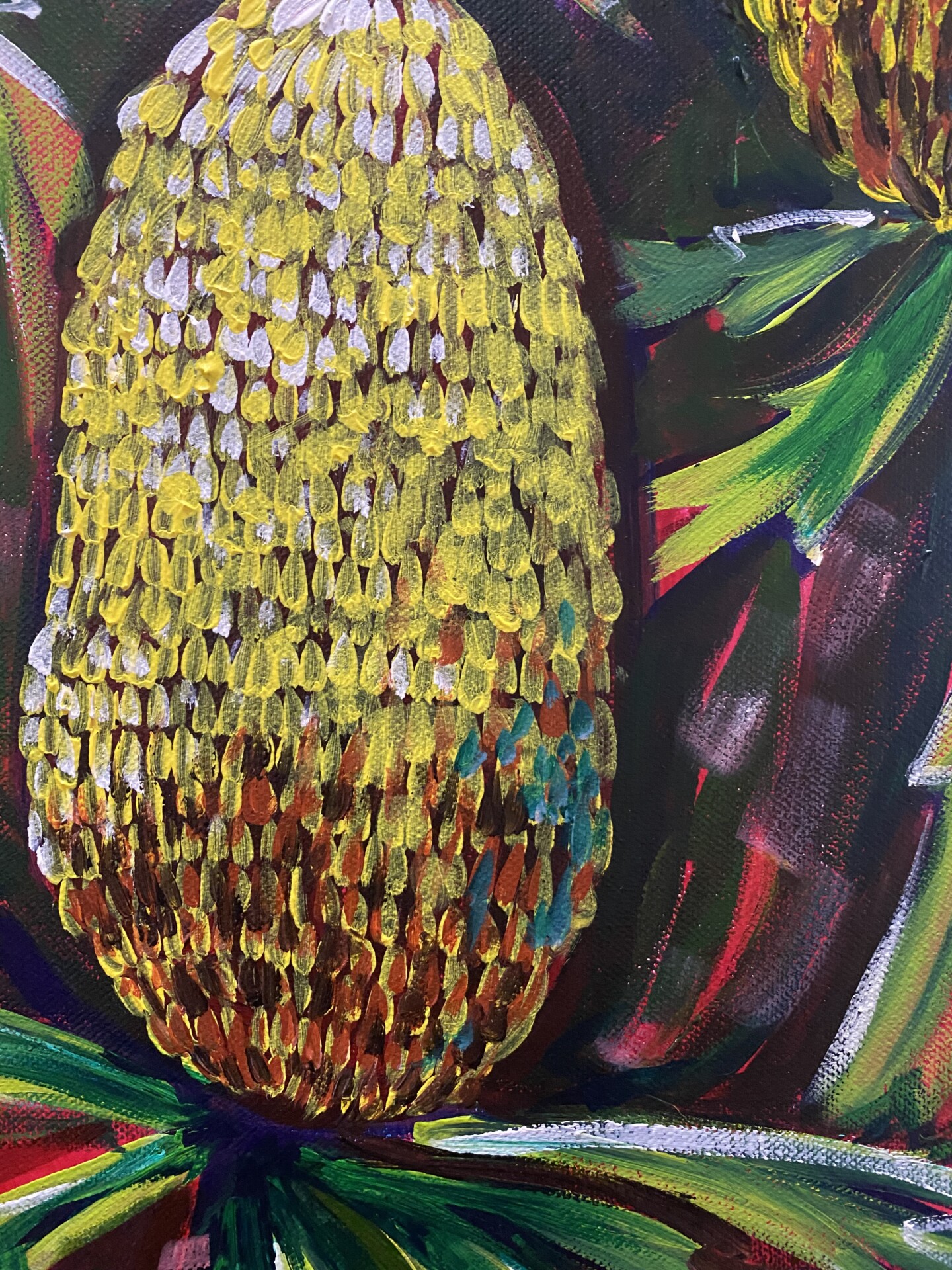 Original Australian paintings by artist Lucy Car