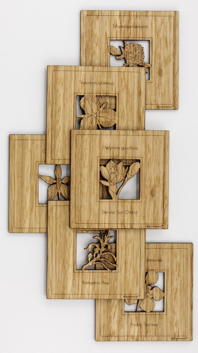 Buttonworks Australian Wild Flower Square Coasters - Gifts and Souvenirs